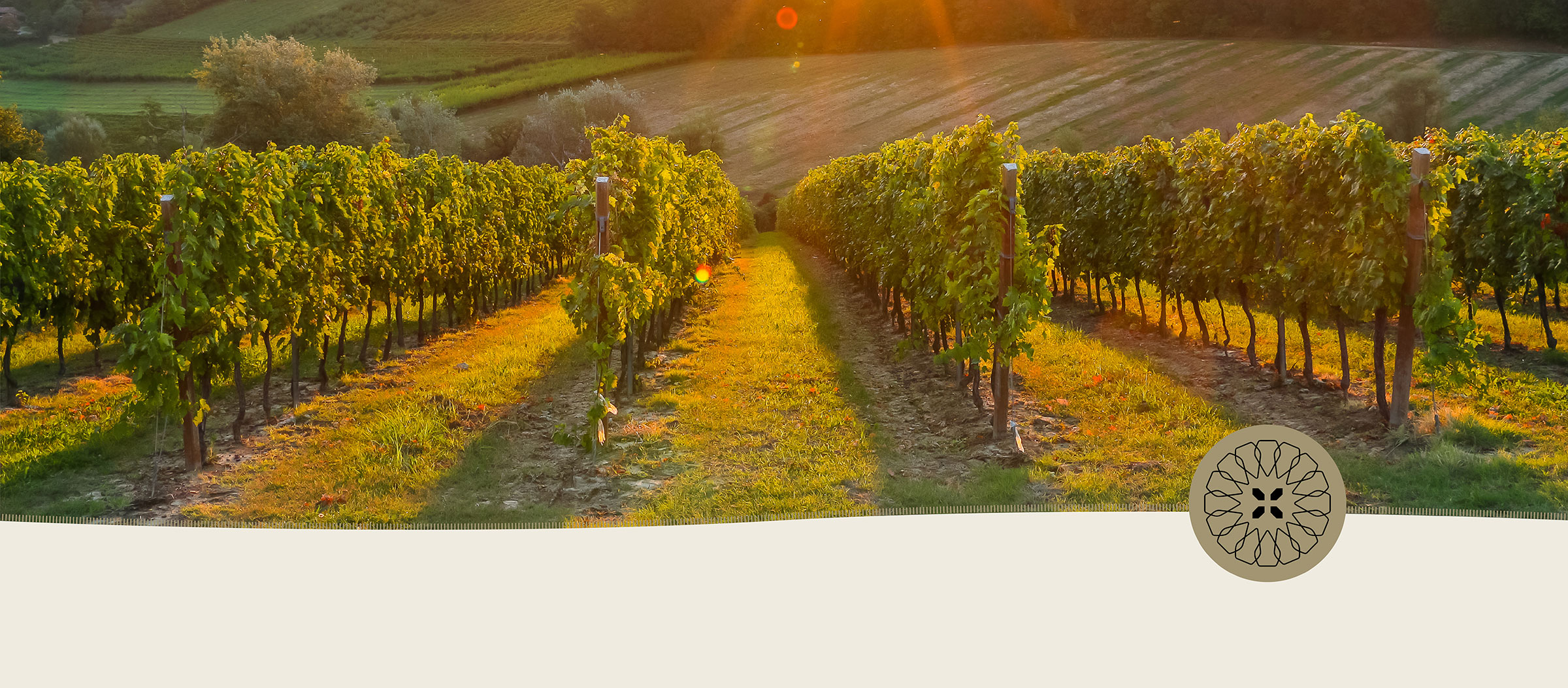 Prost - Vins & Crémants Luxembourg